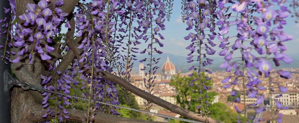 Grazie a te / A primavera em Florença, como é a cidade na estação das ...